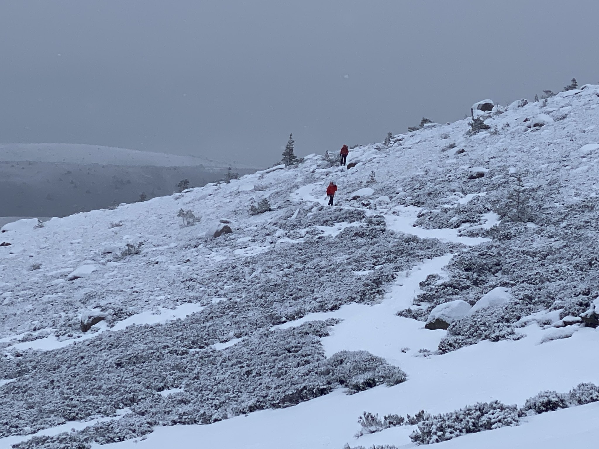Northern Cairngorms Blog & Mountain Info » 2F26C9A3-DAAE-407A-A2C2 ...