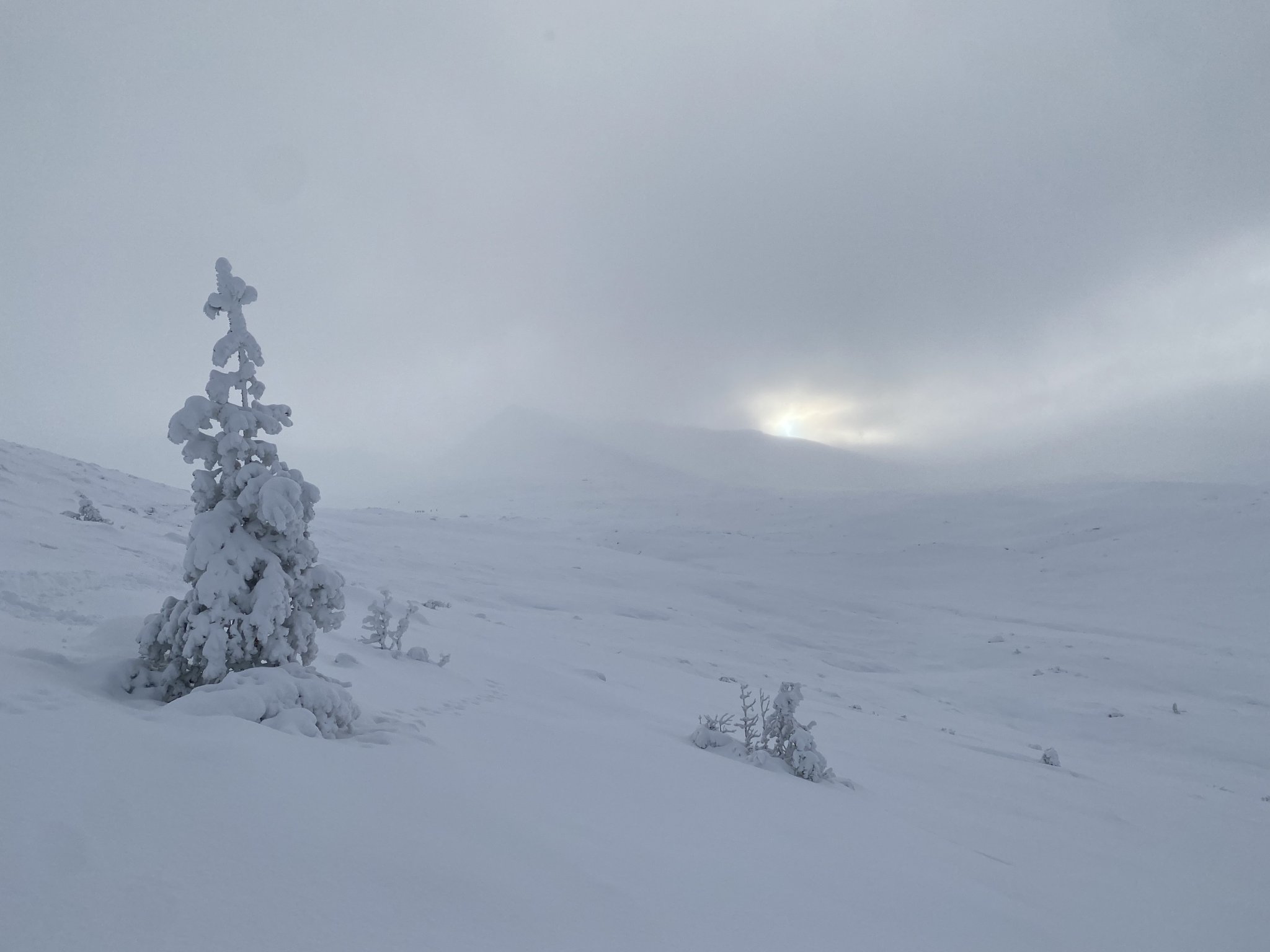 Northern Cairngorms Blog & Mountain Info » a brief interlude